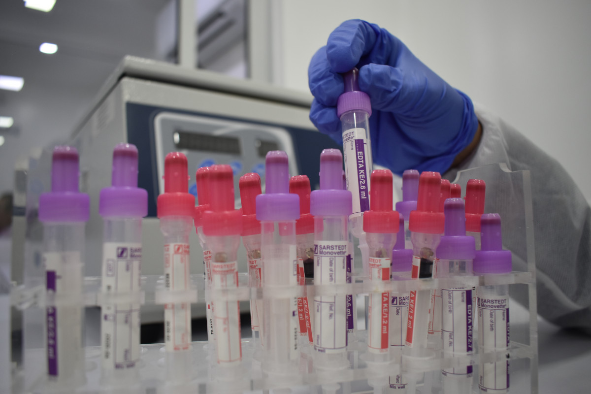 Galería – Quik Lab